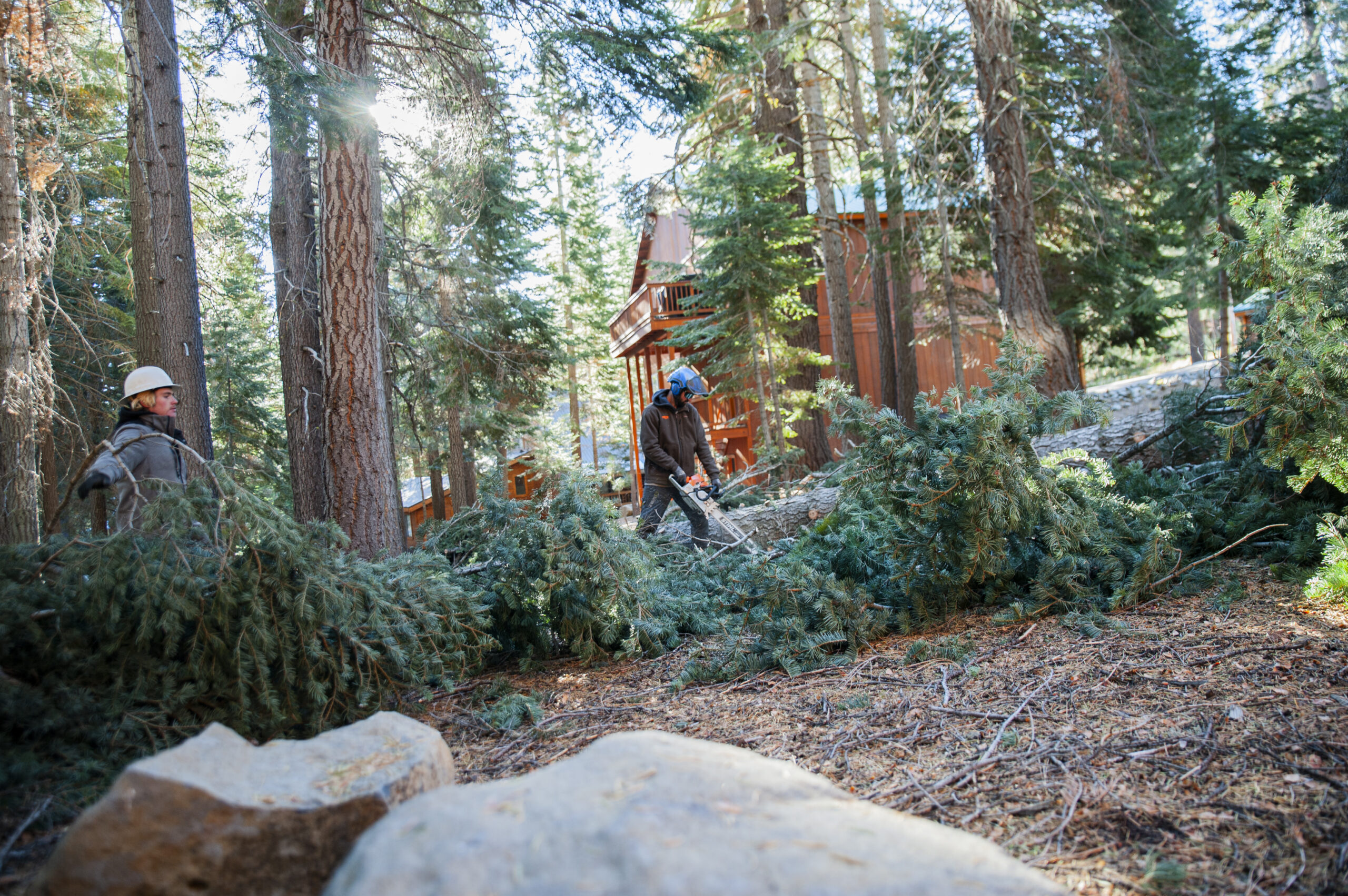 Defensible Space - Elements Mountain Company