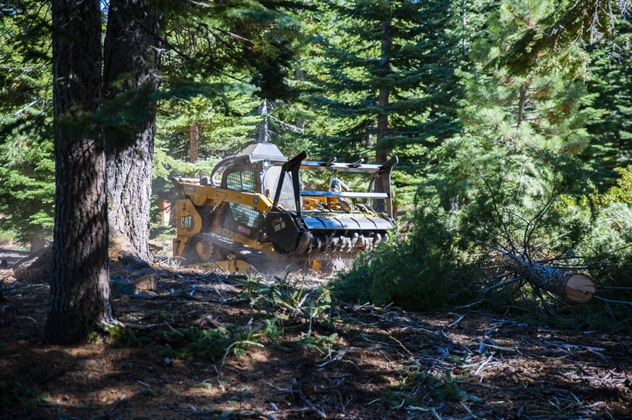 What Is Forest Mastication? - Elements Mountain Company