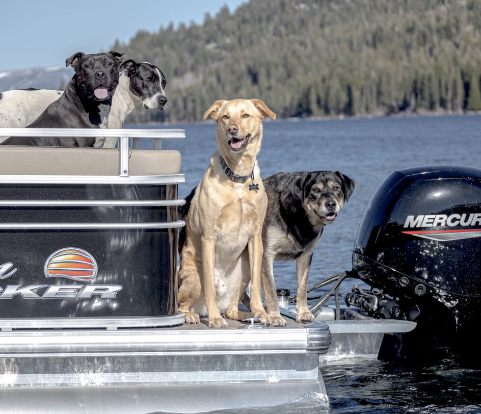 Top 5 Summer Activities To Do At Donner Lake - Elements Mountain Company
