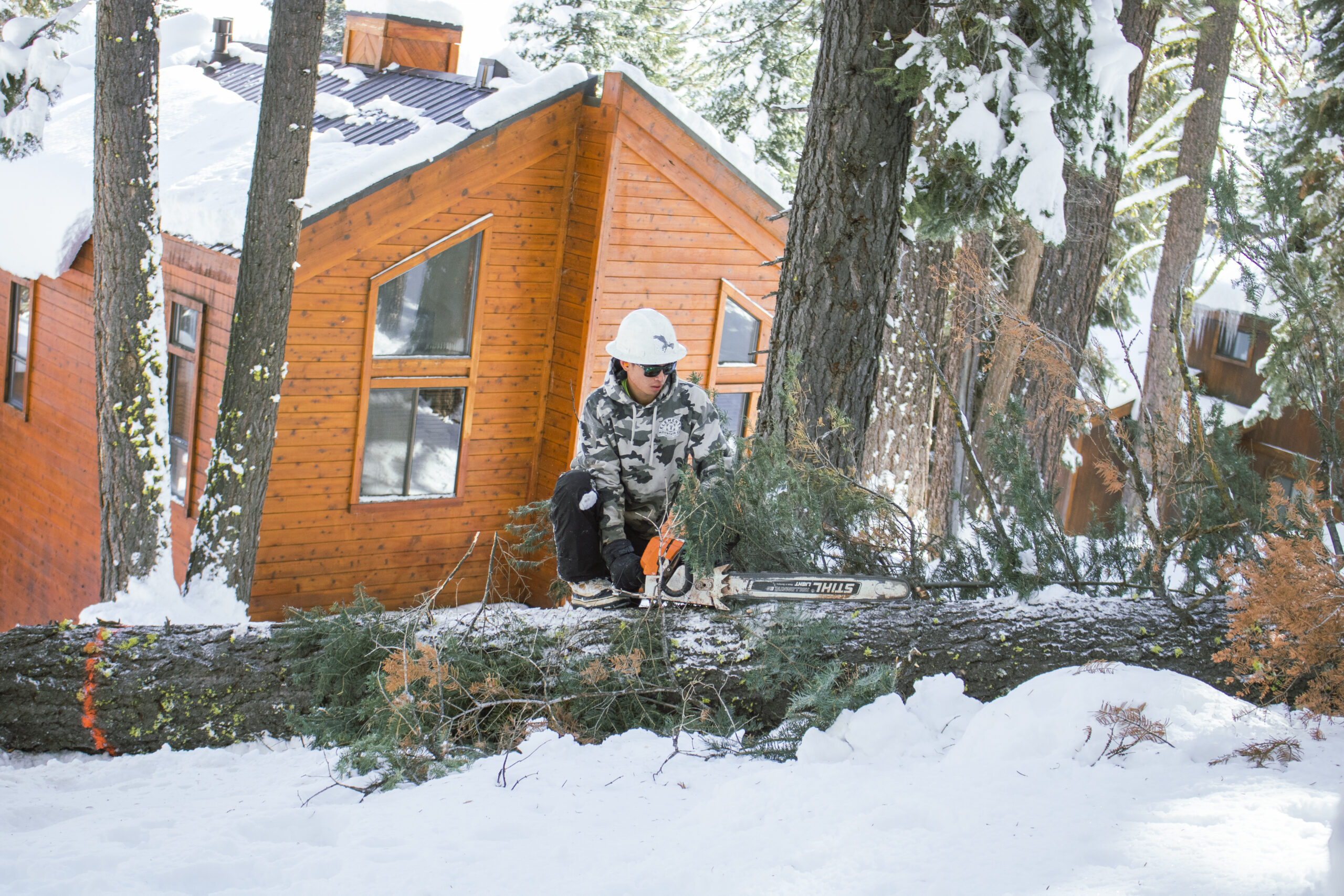 Hazard Trees & Limbs On Property - Elements Mountain Company