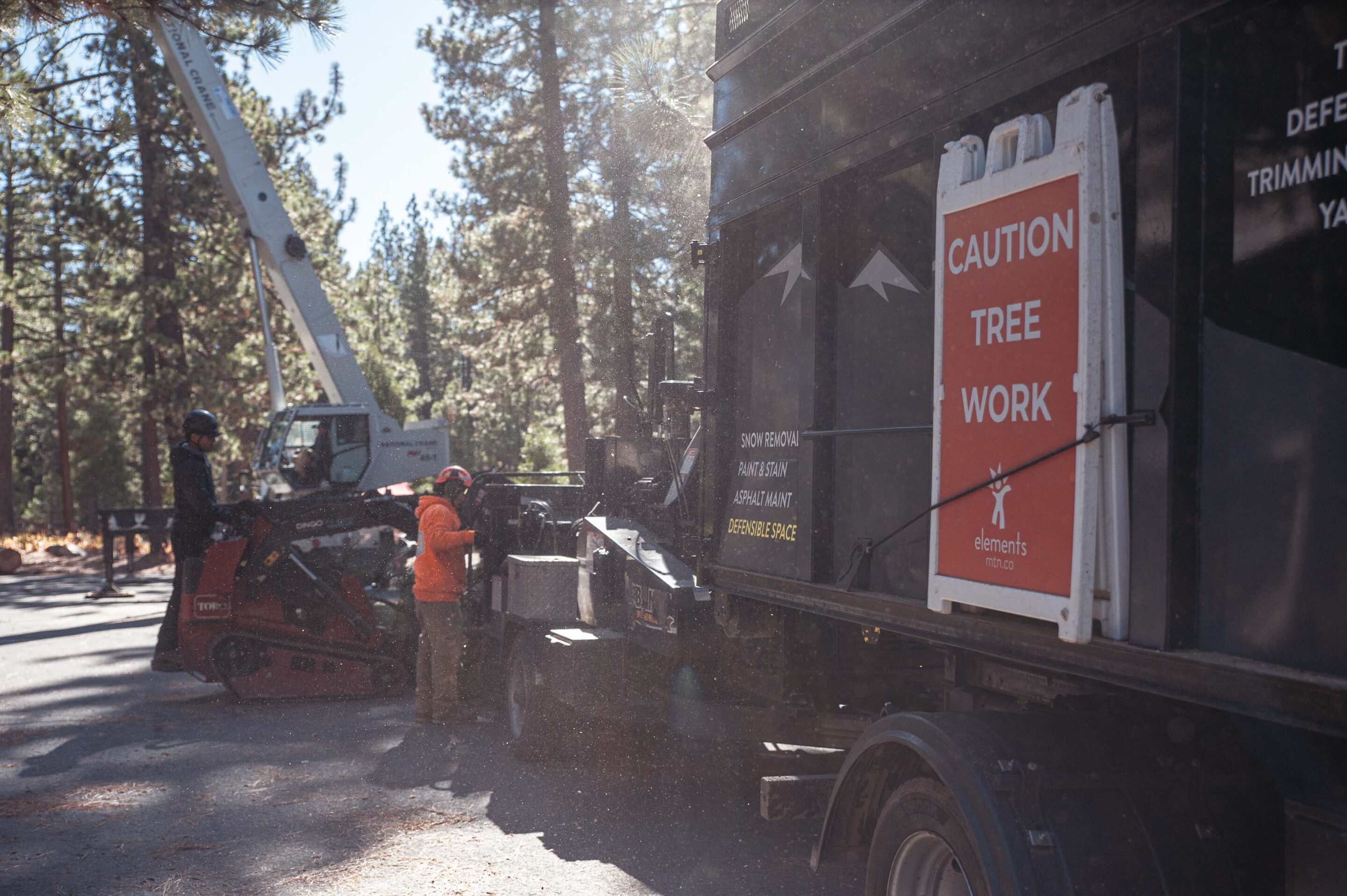 Defensible Space and Tree Work in June: The Last Best Time to Get Ahead ...